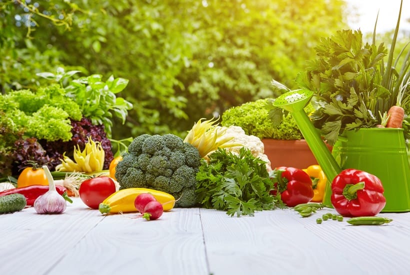 Seven Methods To Grow Your Own Food - Cooks Harvest